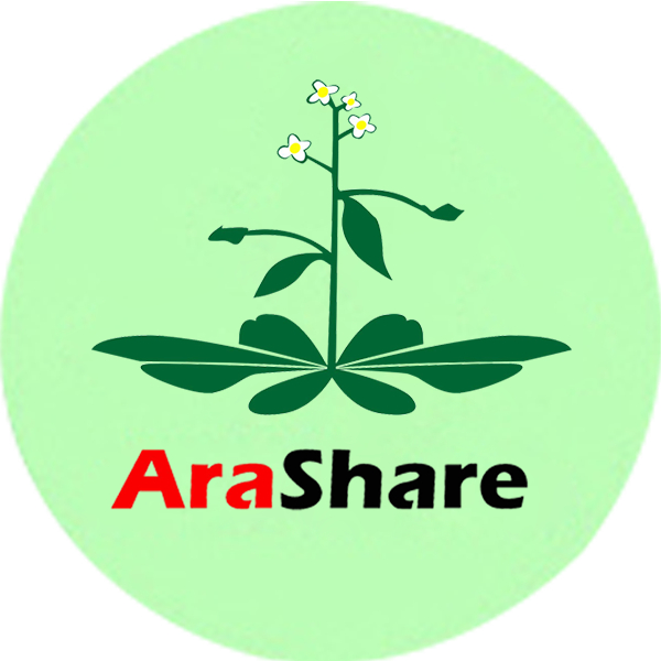 AraShare科学